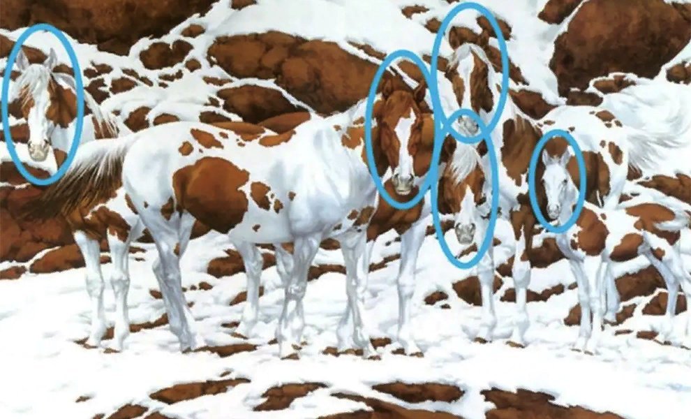 რამდენი ცხენია ნახატზე? - ნახატი-რებუსი, რომელიც ბევრს აფორიაქებს ...